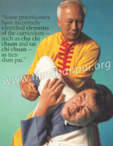 Unraveling The Mystery Of The Tien Shan Pai